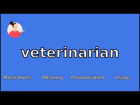 VETERINARIAN - Meaning and Pronunciation