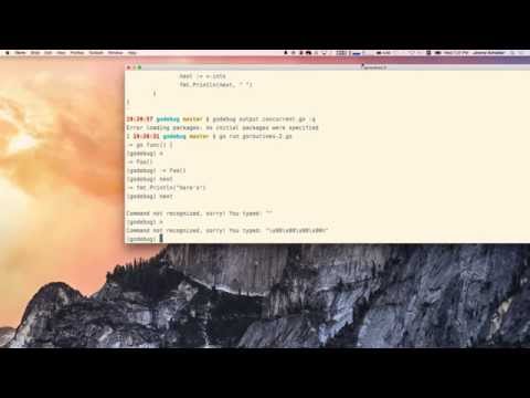 Godebug and the Wonders of Code Generation