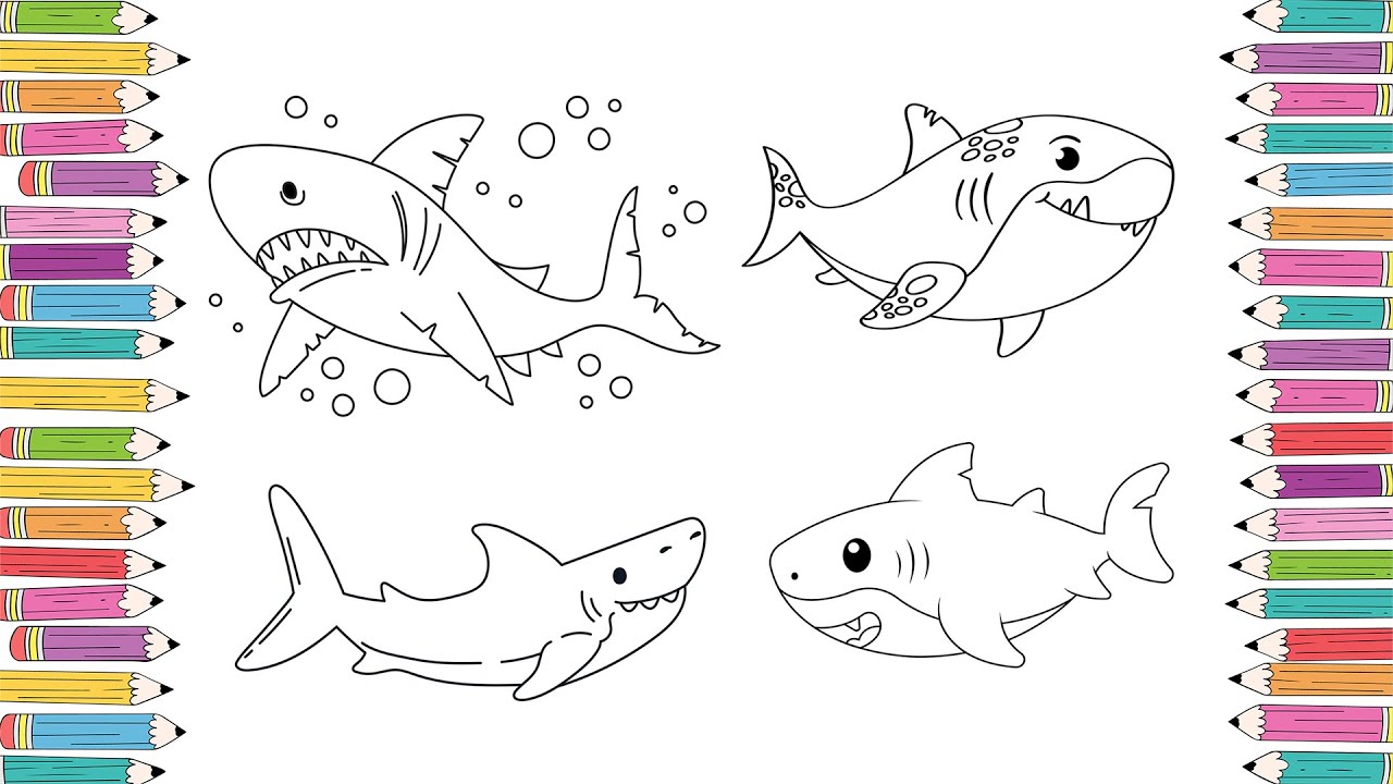 How To Draw and Coloring a Shark | Coloring Page For kids