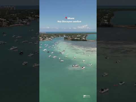 Winter in Miami: the sandbar of Key Biscayne #sandbar #keybiscayne #shorts