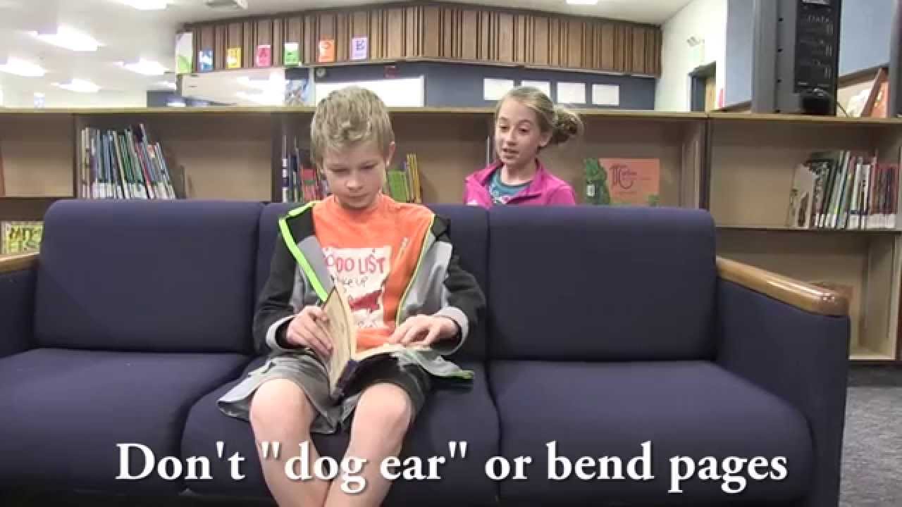 How to properly take care of books