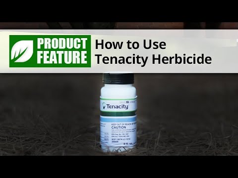 How to Use Tenacity Herbicide | DoMyOwn.com