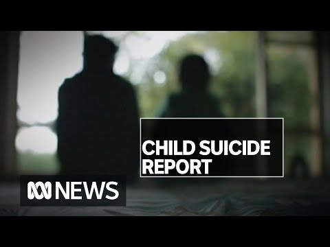 How Victoria's family services 'roundabout' failed 35 children | ABC News