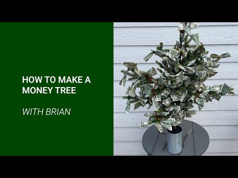 How To Make a Money Tree