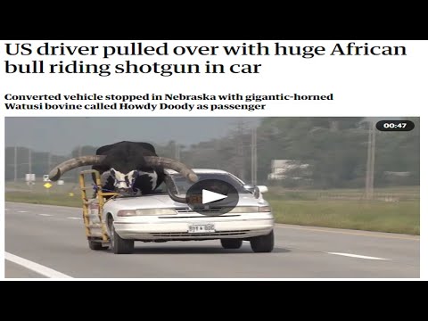 The Wrong Way To Beef Up A Car