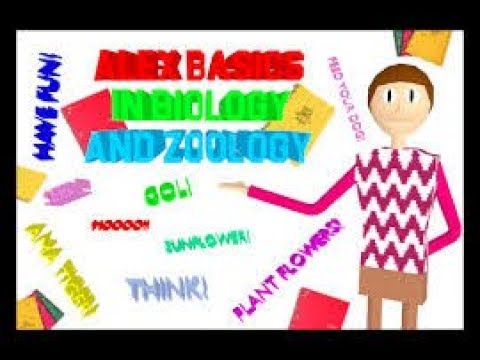 Alex Basics in Biology and Zoology