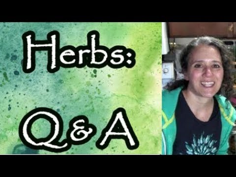 Herbs Q & A