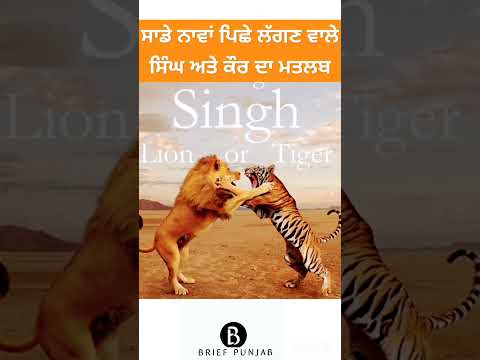 #singh #kaur #sikh #lion #birds #surname #subscribe #channel #yt #ਪੰਜਾਬੀ