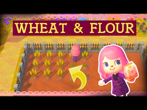 ACNH: How To Get Wheat | GAMERS DECIDE