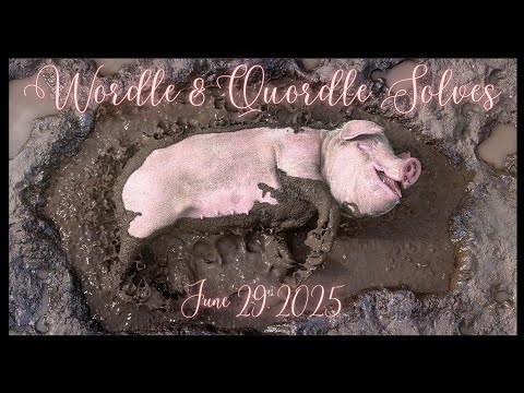 Wordle & Quordle of the Day for June 29, 2025: Happy Mud Day!