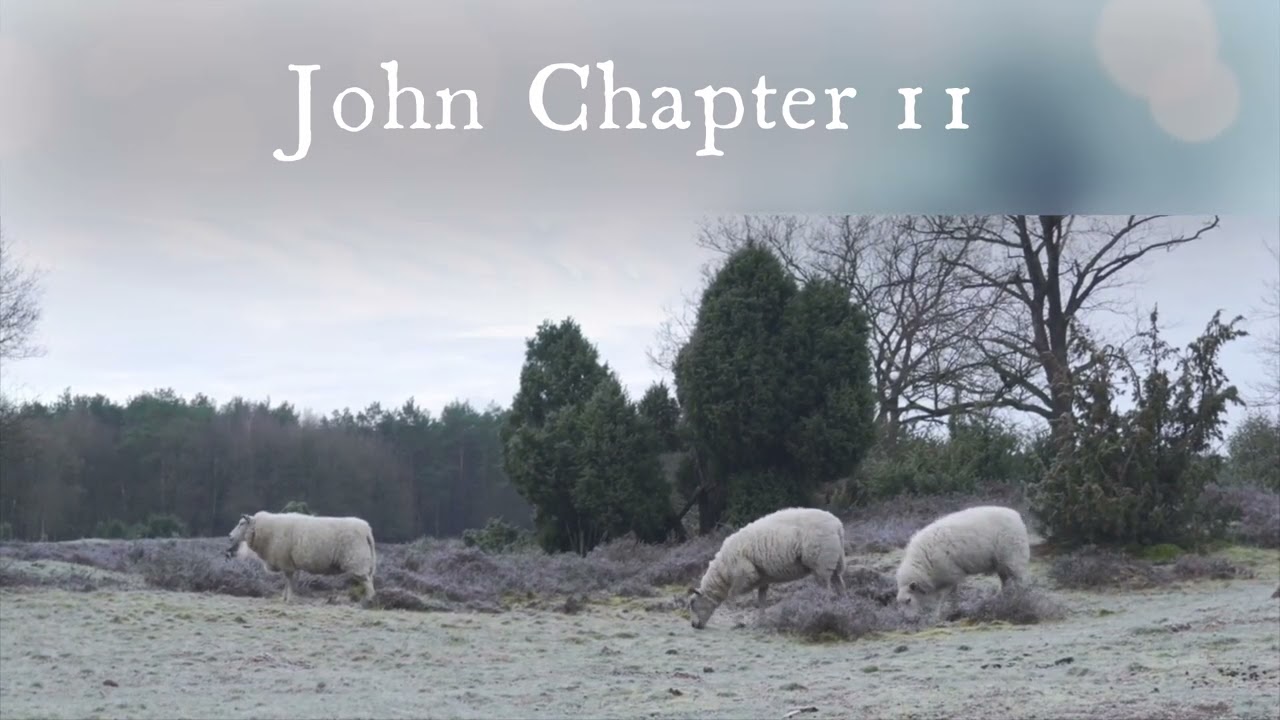The Book of John Chapter 11 - New King James Version (NKJV) - Audio Bible