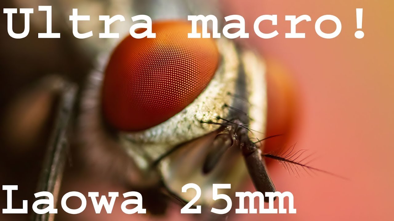 Laowa Camera Lenses Testimonials