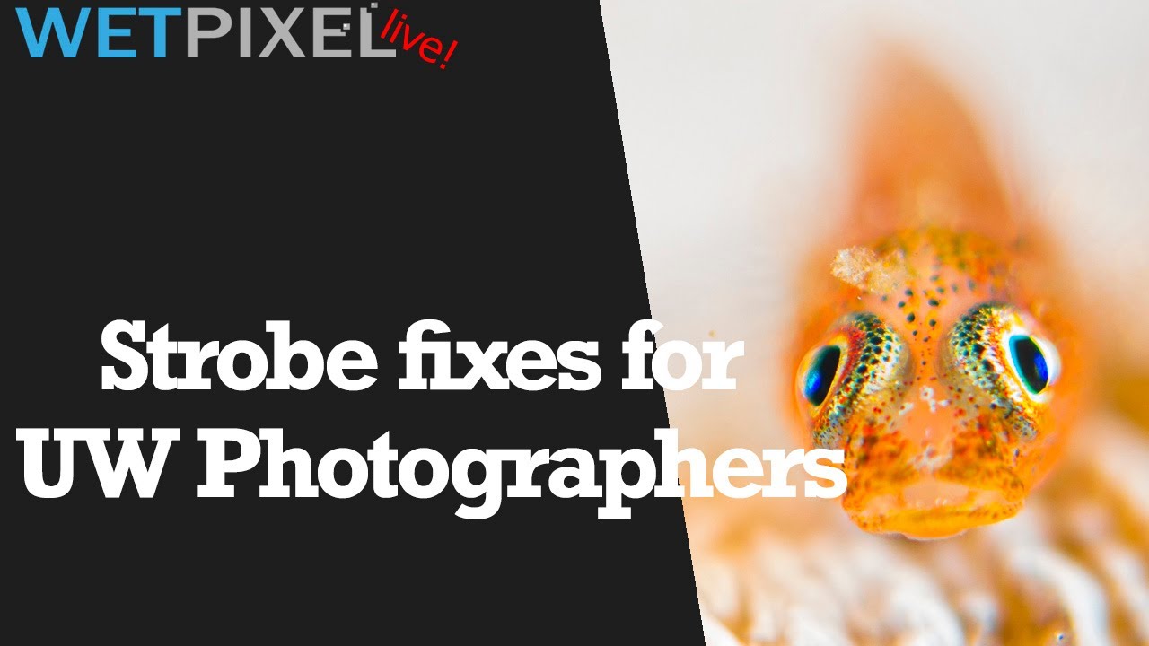 Strobe Troubleshooting for Underwater Photographers