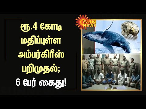 Ambergris | ரூ.4 கோடி மதிப்புள்ள அம்பர்கிரீஸ் பறிமுதல்; 6 பேர் கைது | Tamil News | Sun News
