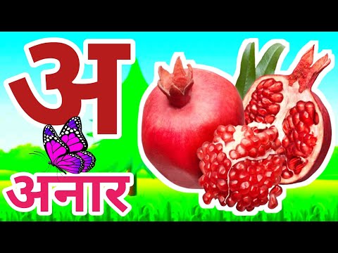 अ से अनार आ से आम, हिंदी वर्णमाला, अआइईउऊ, क से कबूतर,a se anar,aa se aam,preschool#kidssong - 745