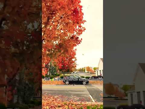 Fall season 🍂in America 🍂🍁🍃
