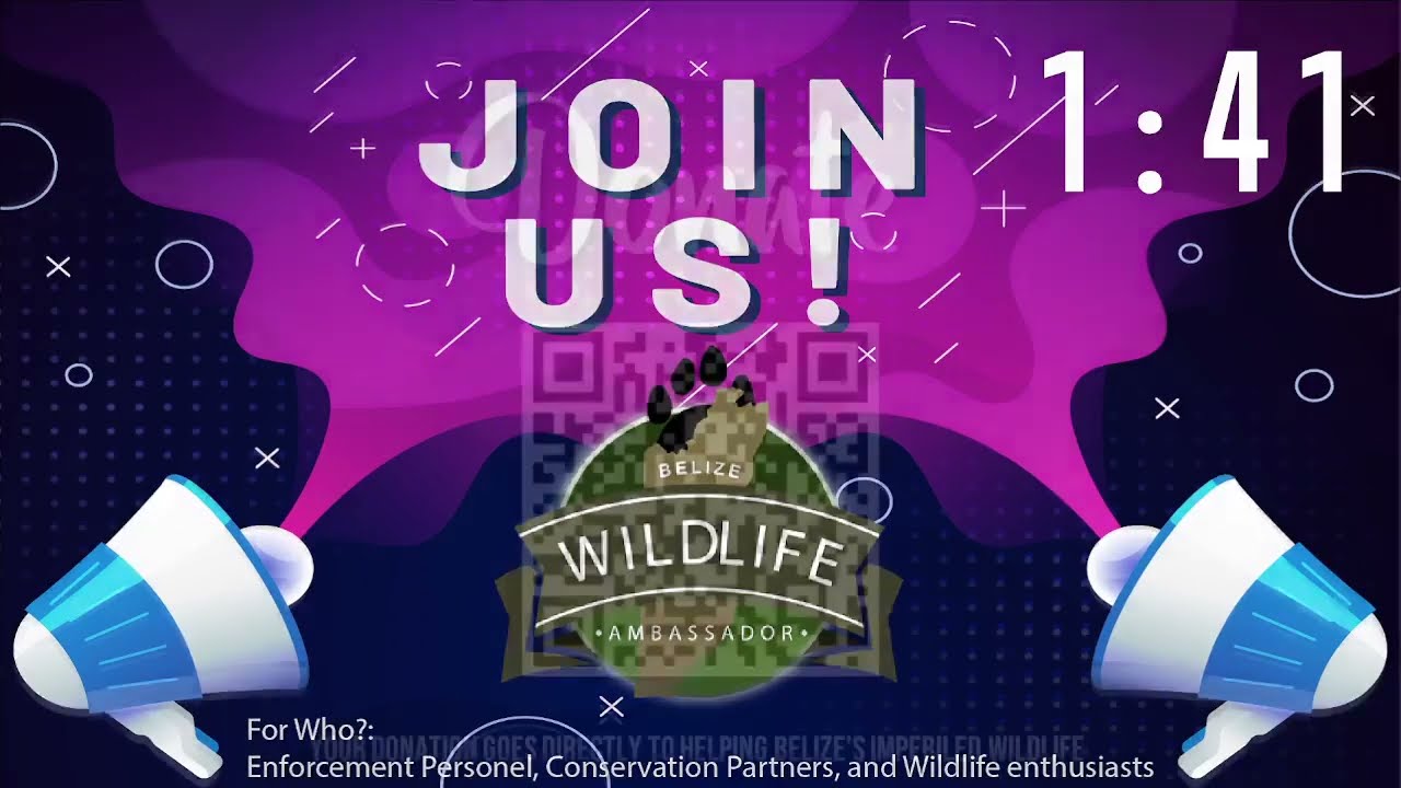 Wildlife Ambassador Program LiveStreams – Belize Wildlife & Referral ...