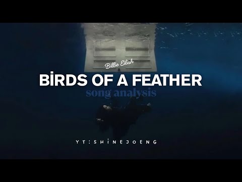 Billie Eilish - Birds of a Feather | Song Meaning & Vocabulary