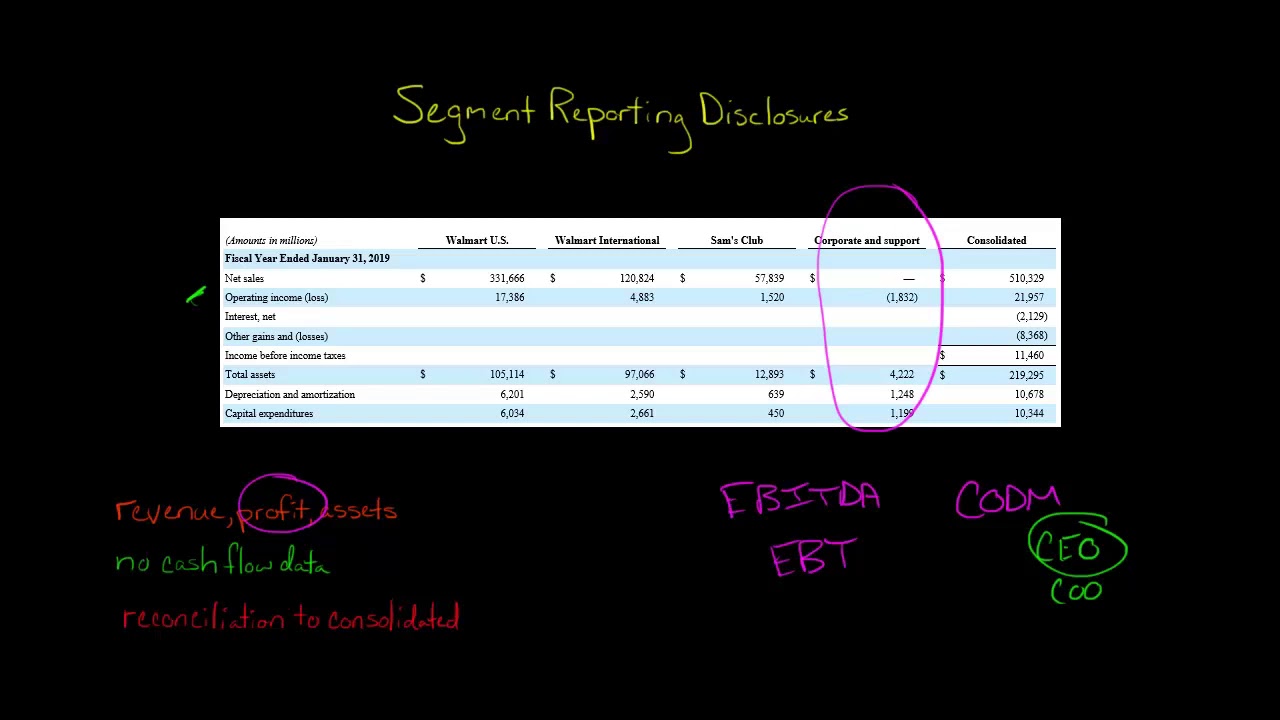 Segment Reporting Disclosures