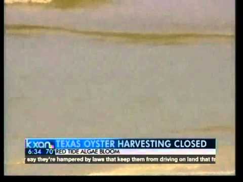 Red tide warning