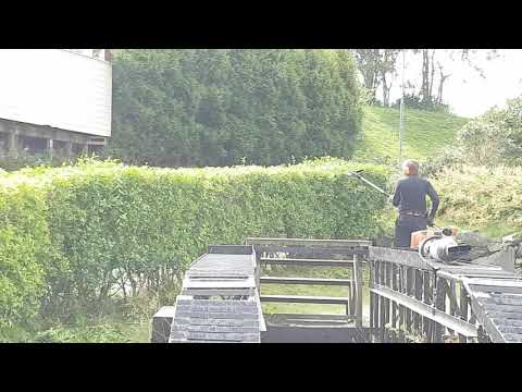 Stihl Hedge Trimmer HL 100