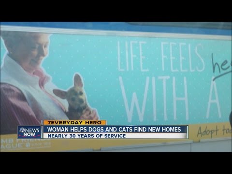 Volunteer began giving time after adopting cat from Denver Dumb Friends League