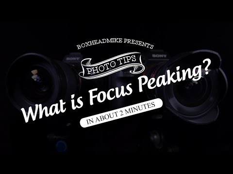 Sony A7 Iii Focus Peaking Ilce7m3b Cec