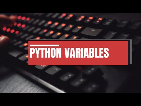 4. PYTHON - HOW VARIABLES STORED IN MEMORY