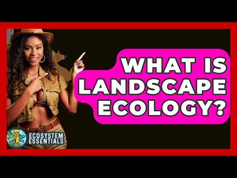 What Is Landscape Ecology? - Ecosystem Essentials