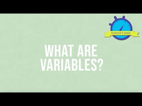 What Are Variables? - Algebra 1 - Two-Minute Teacher's Guide