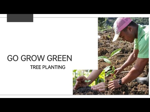 PROJECT PROPOSAL- PRESENTATION (NSTP)