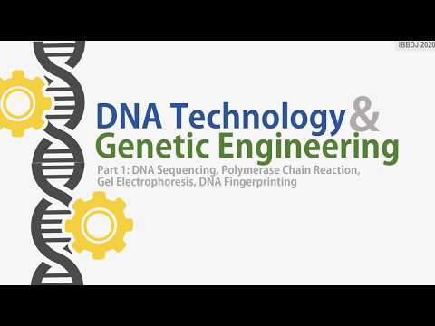 Lecture: DNA Technology and Genetic Engineering - Part 1