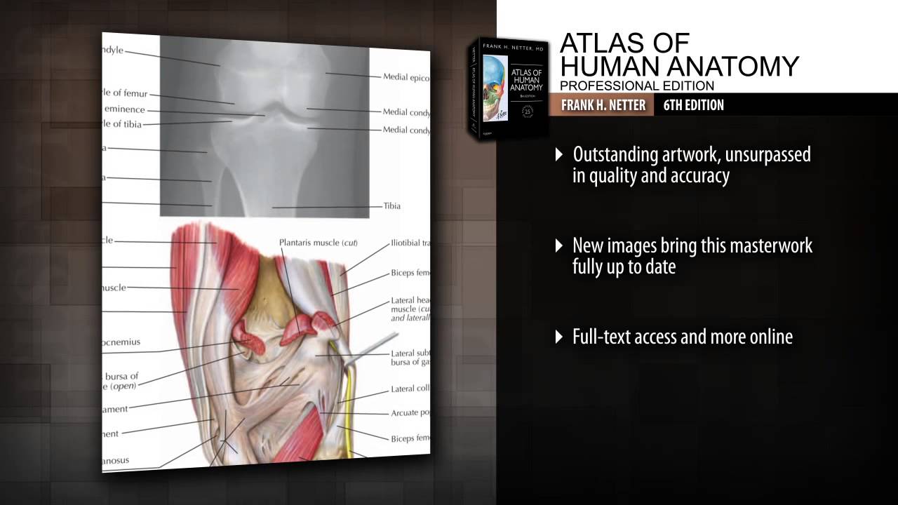 Atlas of Human Anatomy, Professional Edition, 6th Edition
