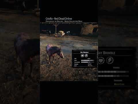 Steam Community :: Video :: RDO • All Criollo Horse Colors and ...