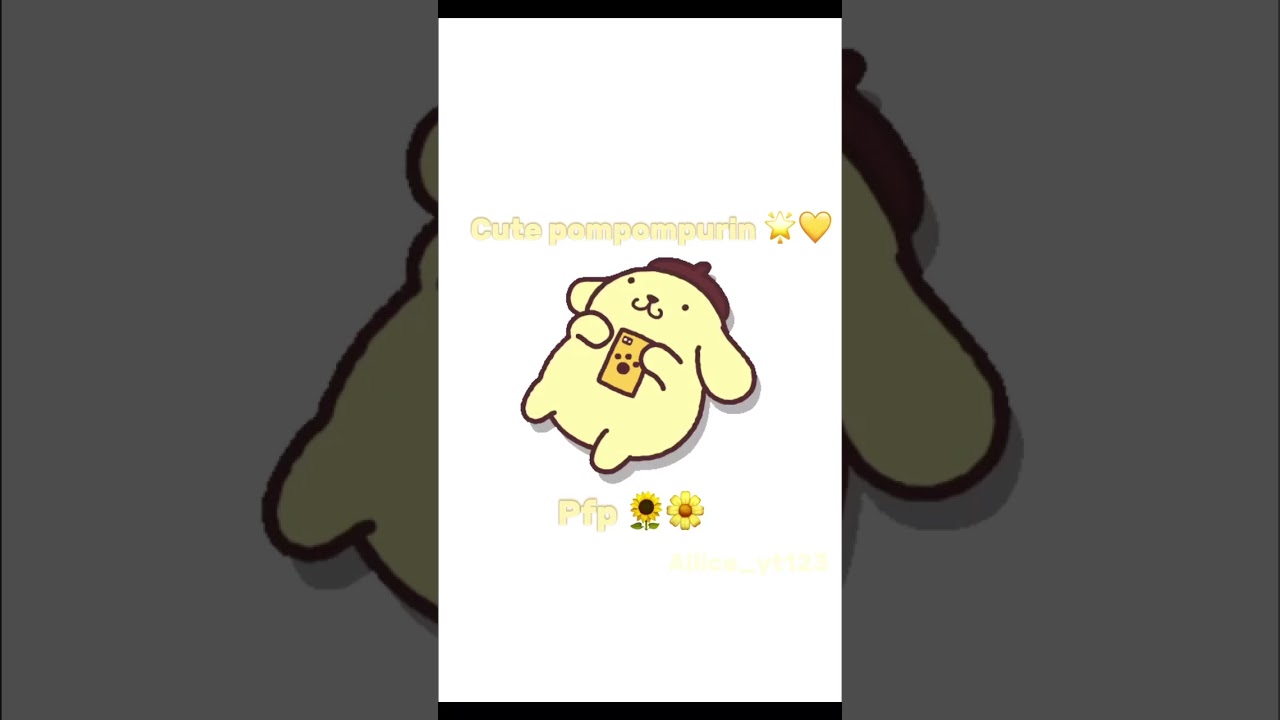 Cute pompompurin pfp 💛⭐️🌟🌻🌼🌙🍋🍯🌕