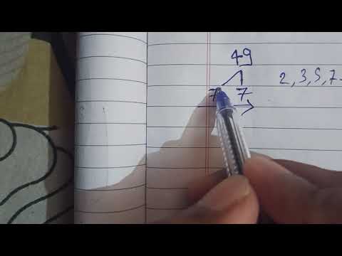 factor tree of 49 | prime factor tree |