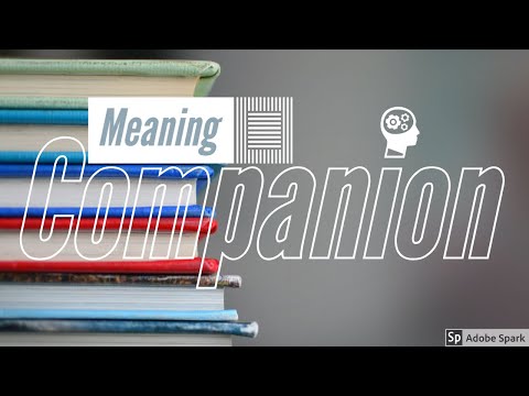 Companion meaning