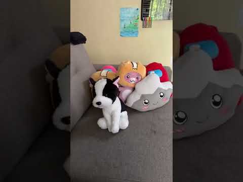 TOY REVIEW (the dogs name is scout)