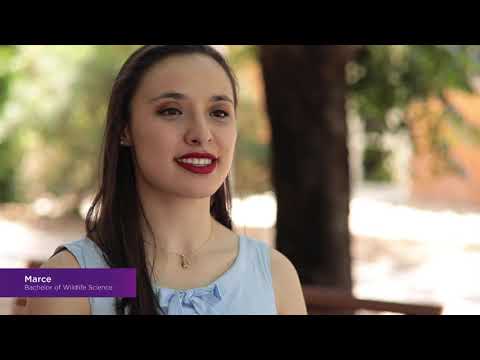 Meet Marce, she's studying Wildlife Science at UQ