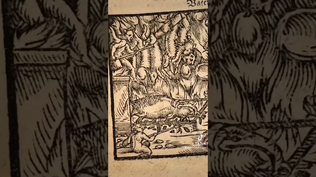 A 1595 RARE BOOK for children with an important message #rarebooks #booktuber