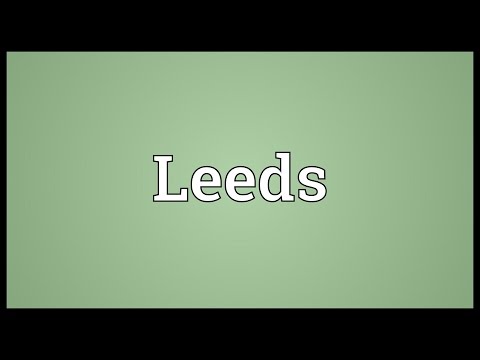 Leeds Meaning