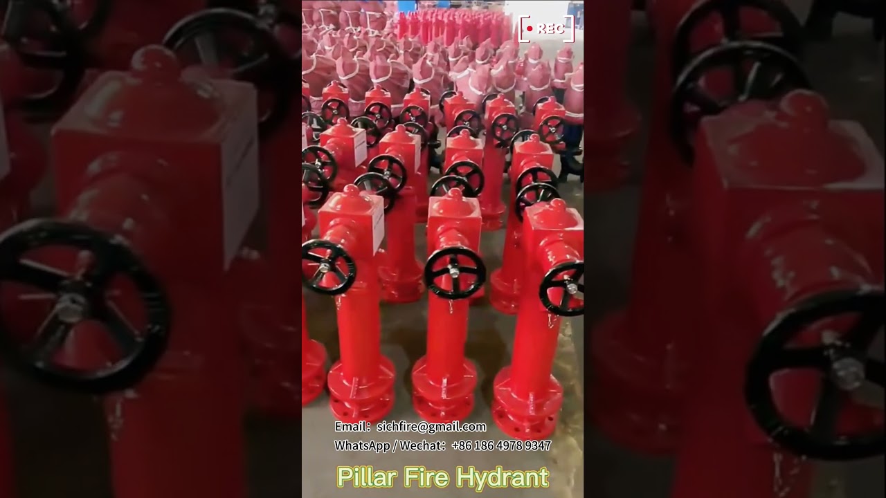 Wet Barrel Pillar 2 Ways Fire Hydrant