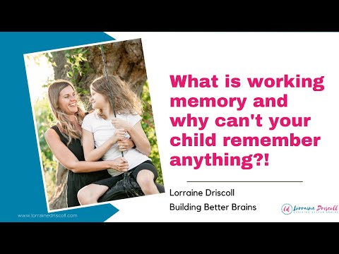 What is working memory and why can't your child remember anything?!