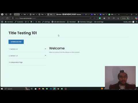 Handbook Custom WordPress Plugin Development