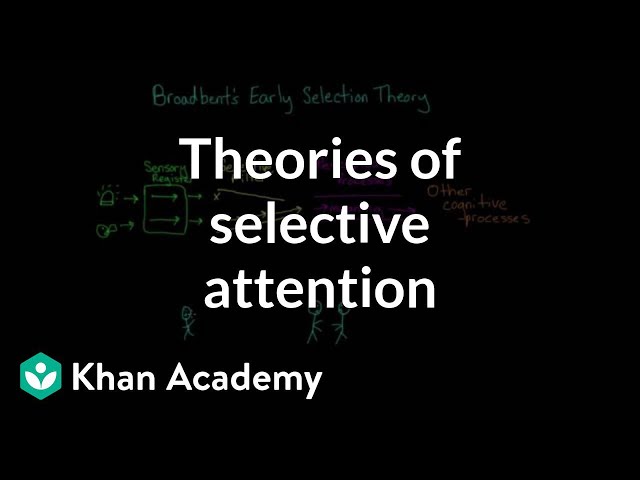 Understanding Selective Attention: Theories and Implications | Galaxy.ai | Galaxy.ai