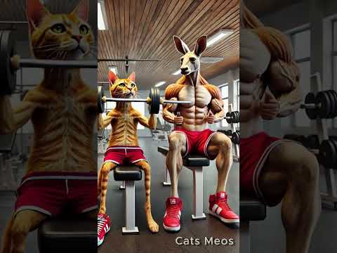 Cat's Story: A Journey of Many New Things#16 #cat #story #funny #shorts #ai