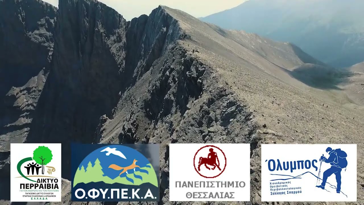 Υποψήφιο και φέτος το Δίκτυο «ΠΕΡΡΑΙΒΙΑ» για τα βραβεία BRAVO ...