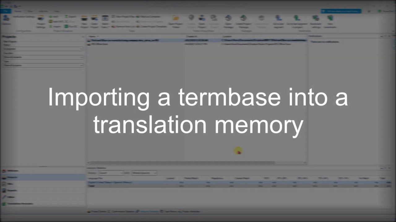 Importing termbases into TMs