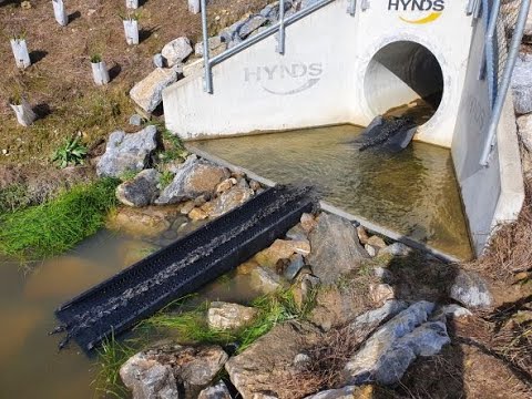 Fish Passage Remediation Example – Fish Passage Action Team