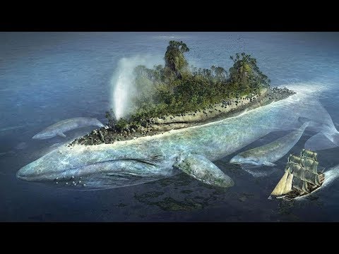 10 LARGEST Monsters That Actually Existed! – Puerto Rico Oceanic ...